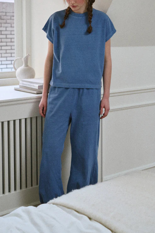 cornflower blue balloons